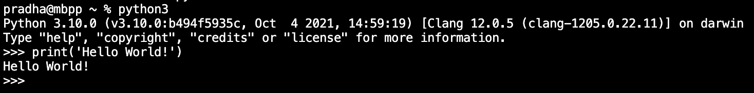 Menjalankan Kode Python Pertama Anda: Panduan Lengkap untuk Pemula - Pradha